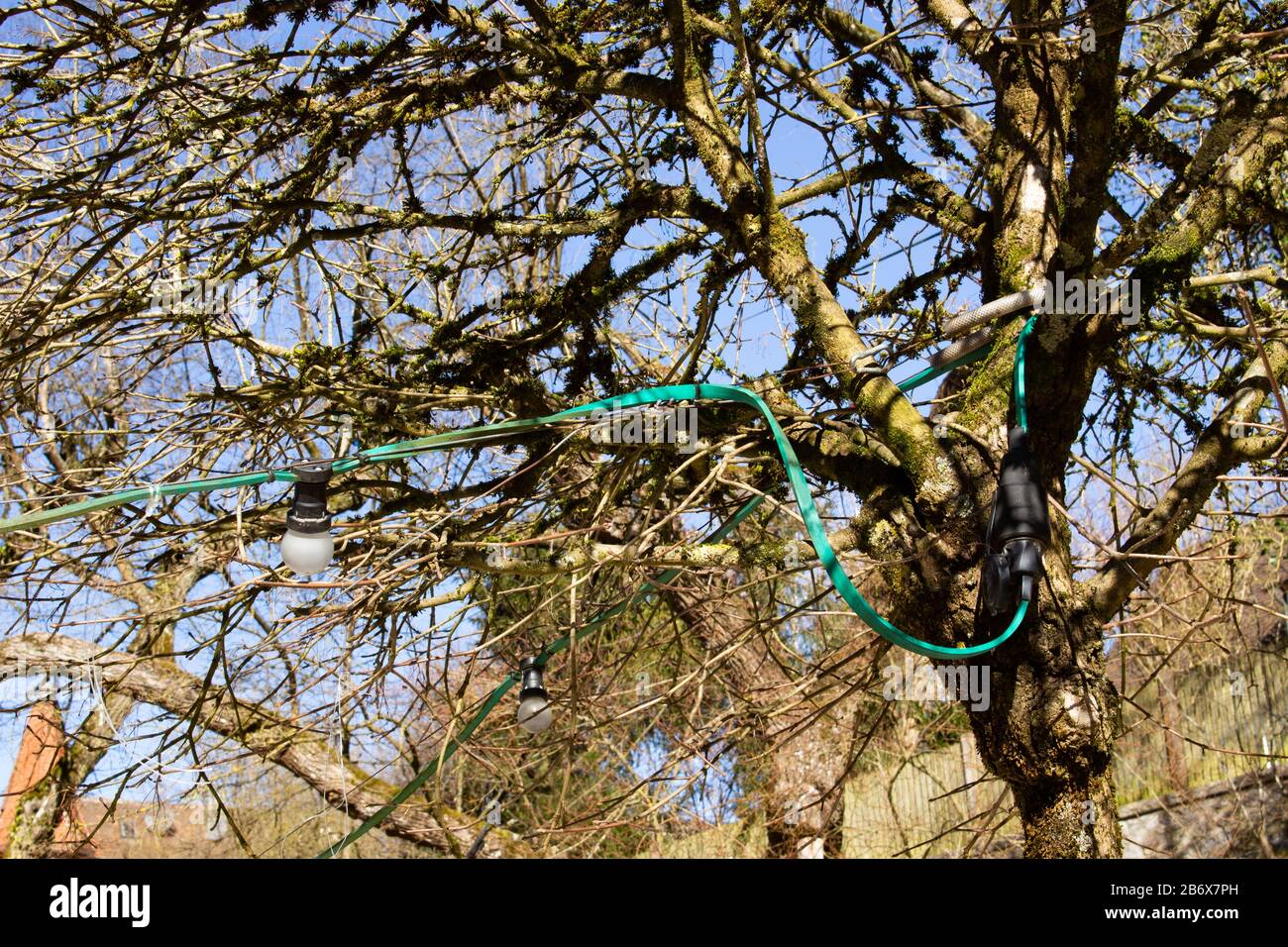 Cable tree hi-res stock photography and images - Alamy