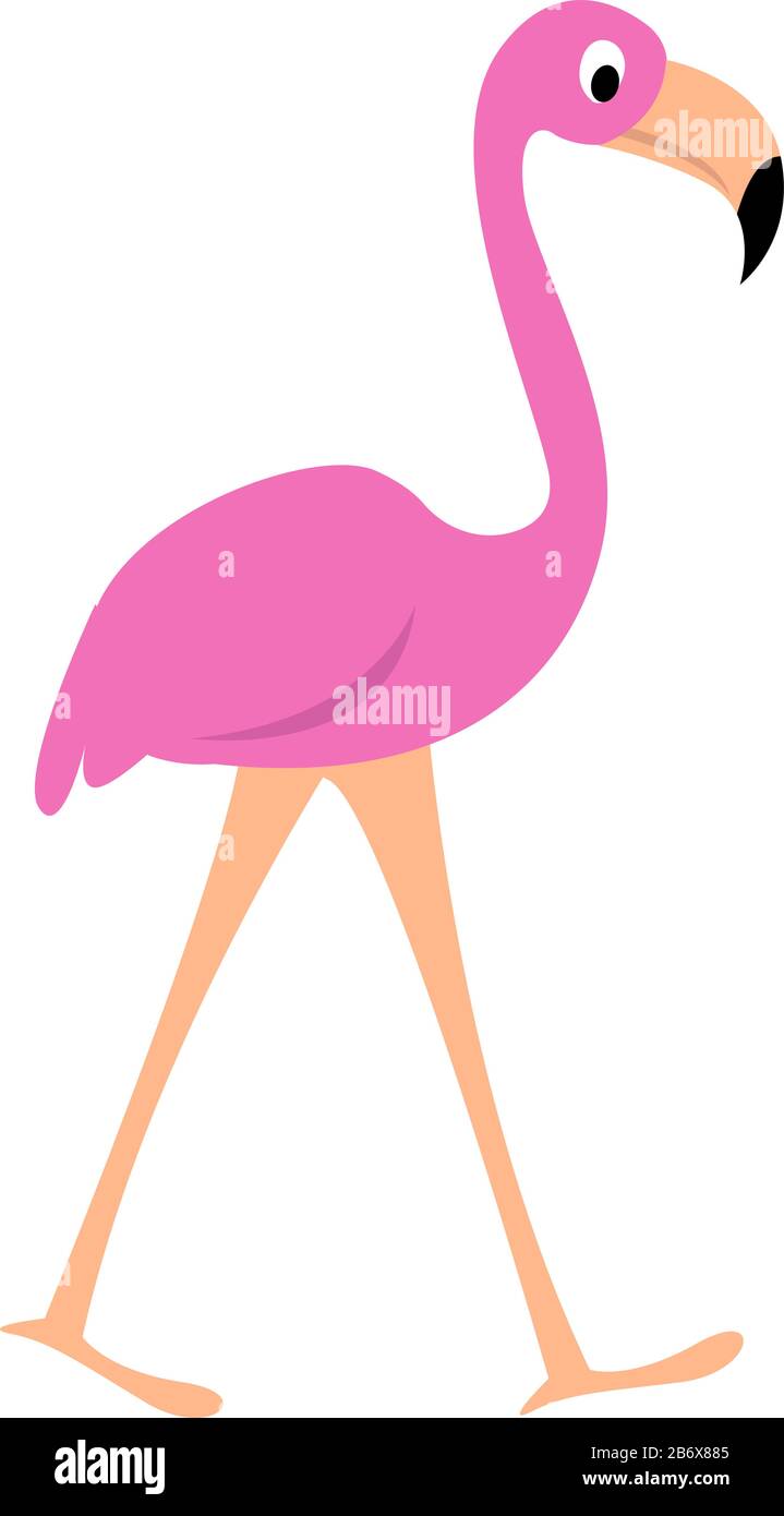 Pink flamingo, illustration, vector on white background Stock Vector ...
