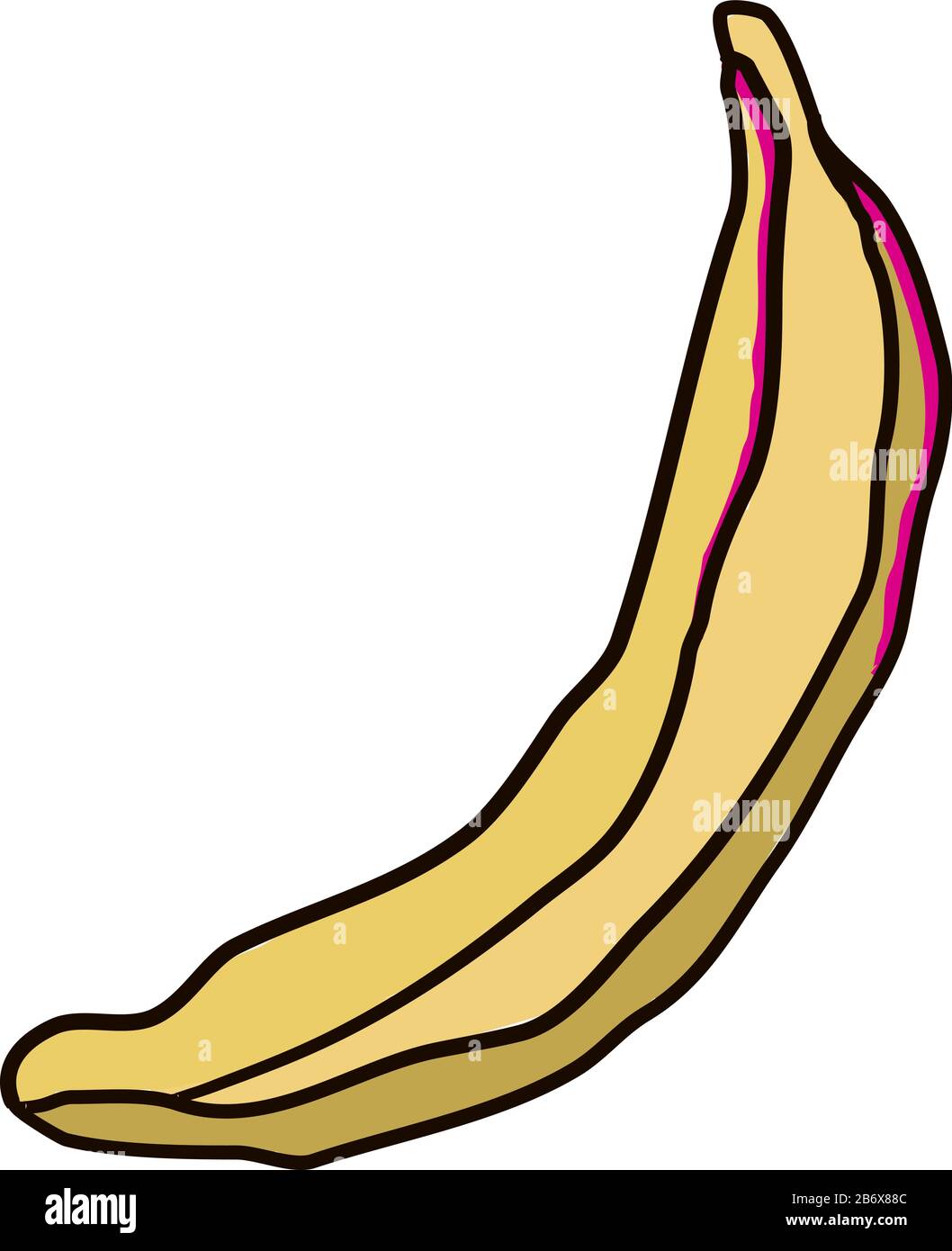 Plantain vector vectors hi-res stock photography and images - Alamy