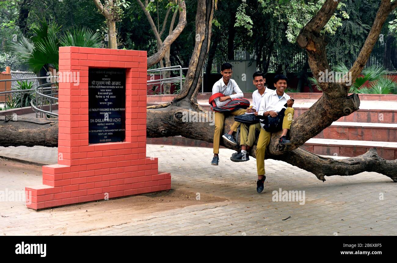 A tree at raj ghat delhi hi-res stock photography and images - Alamy