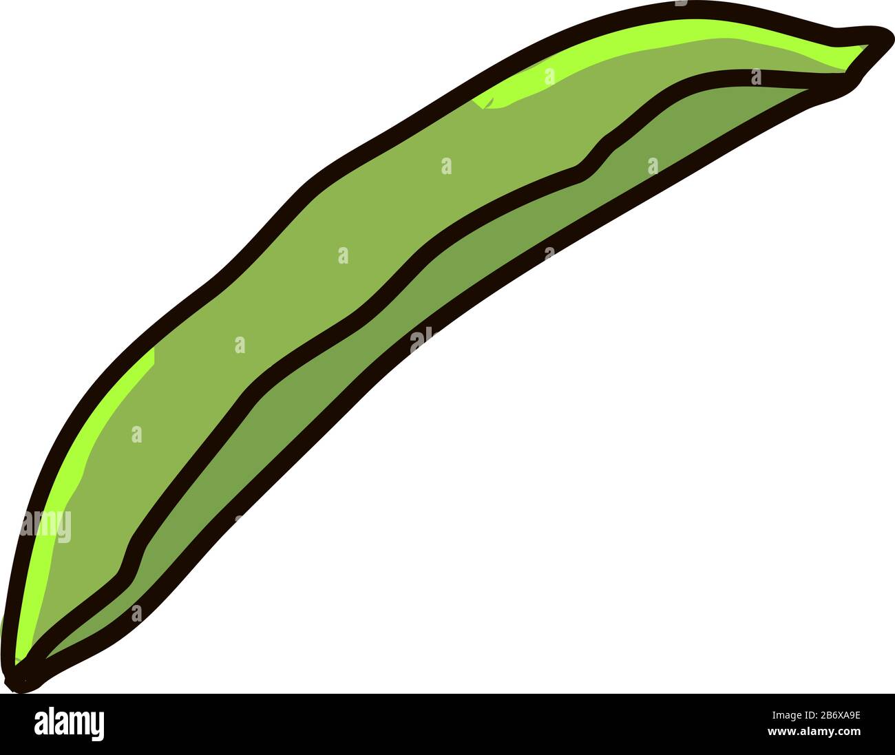 Sweet peas on white background Stock Vector Images - Alamy