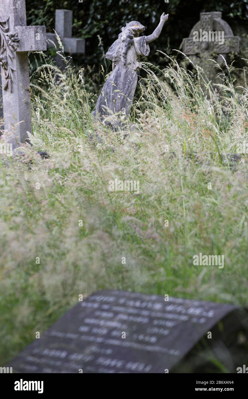 Victorian tombstones hi-res stock photography and images - Alamy