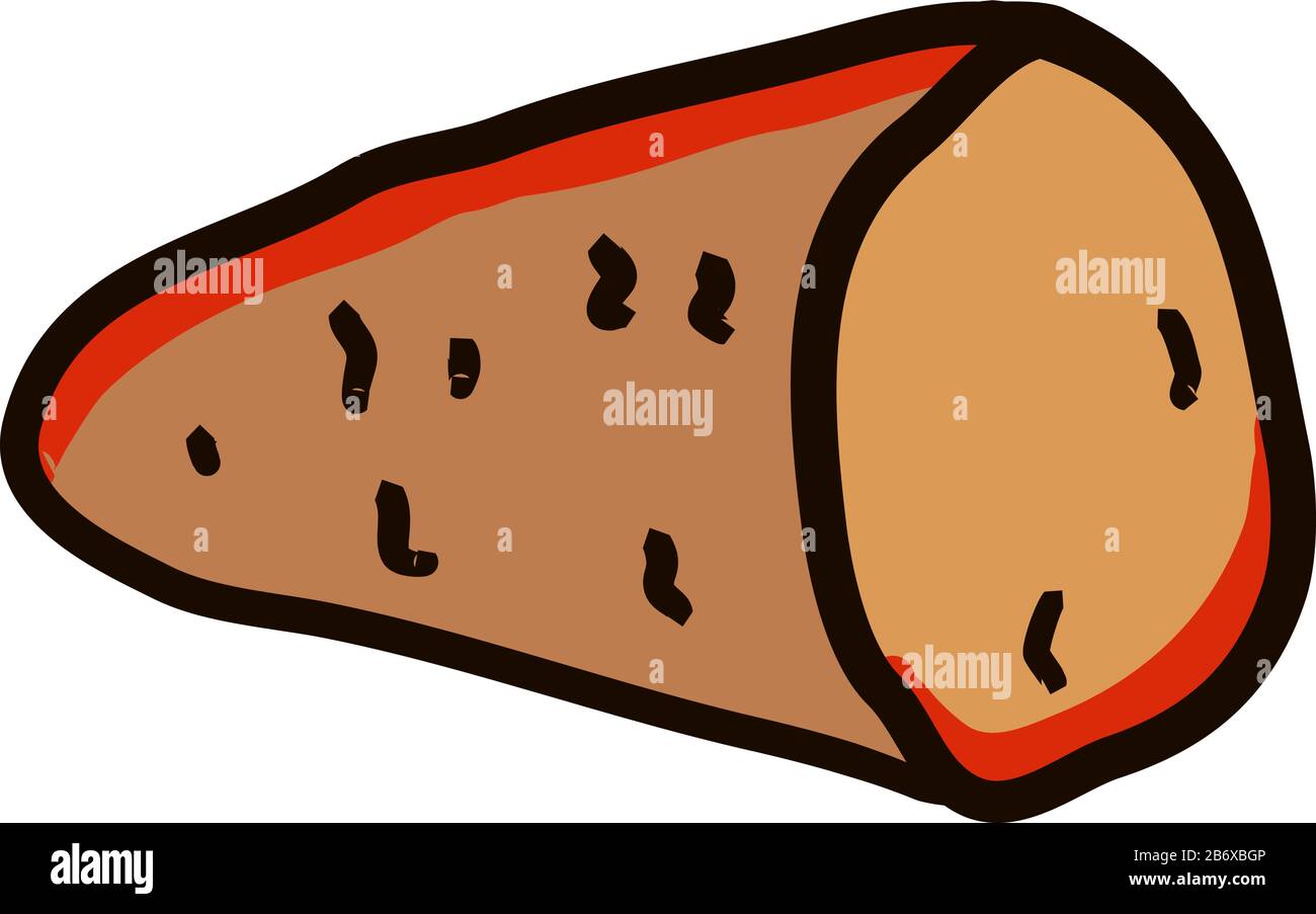 Sweet potato drawing, illustration, vector on white background Stock ...