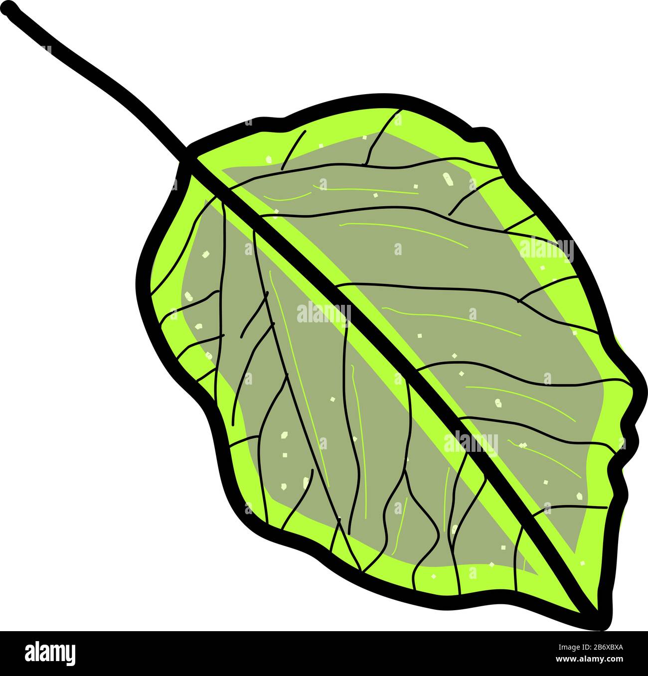 Drawing of a leaf, illustration, vector on white background Stock ...