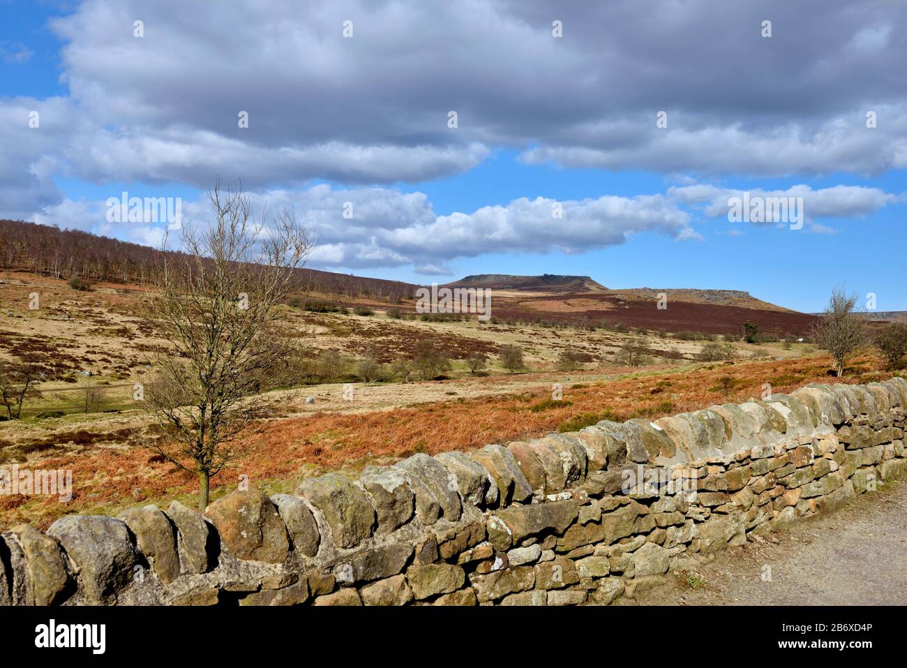 Longshaw estate,Peak district national park,Derbyshire,England,UK Stock ...