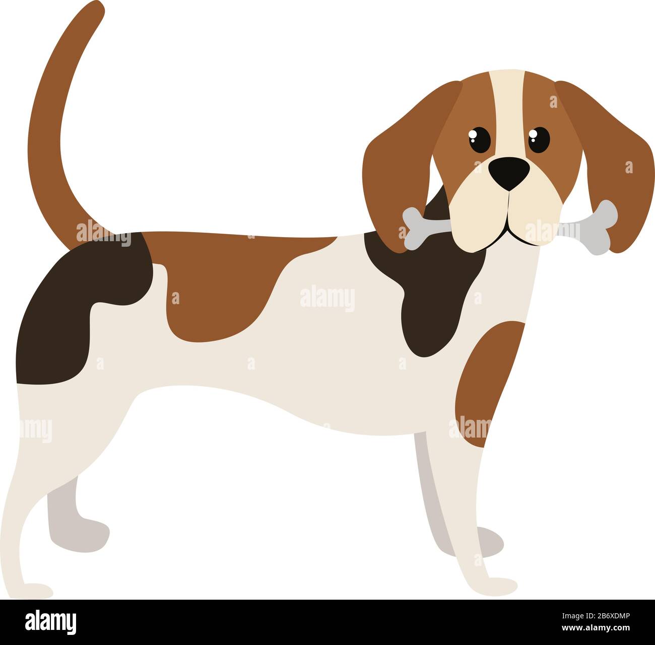 Beagle dog, illustration, vector on white background Stock Vector Image ...