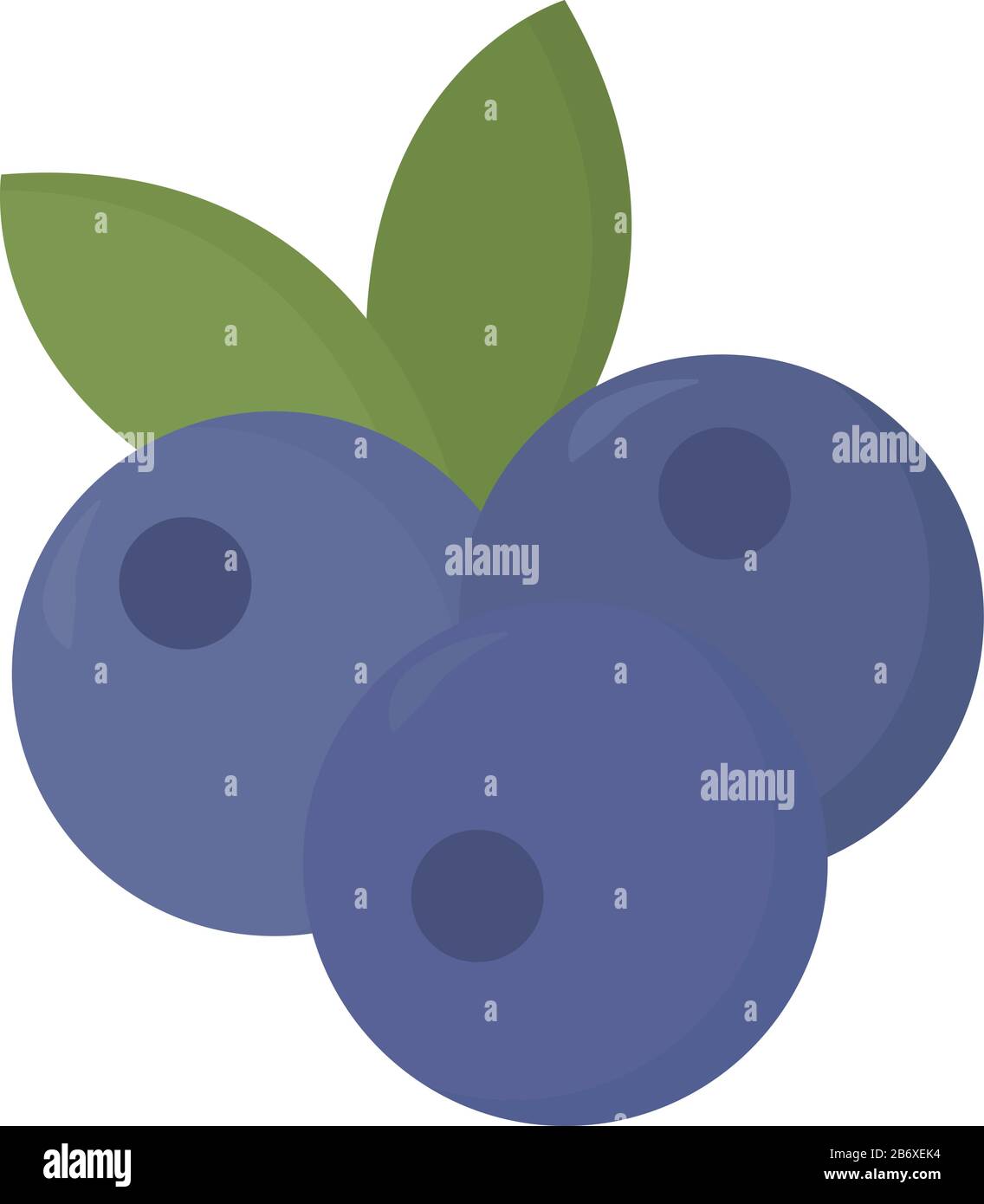 Blueberry, illustration, vector on white background Stock Vector Image ...