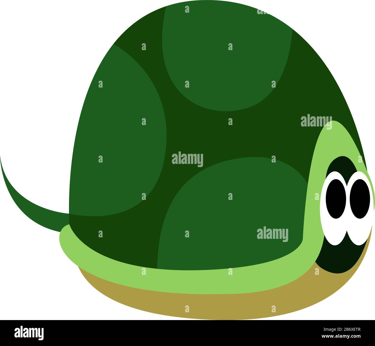 Tortoise shell, illustration, vector on white background Stock Vector ...