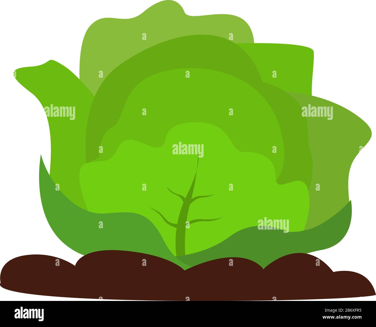 Object on white cabbage Stock Vector Images - Alamy
