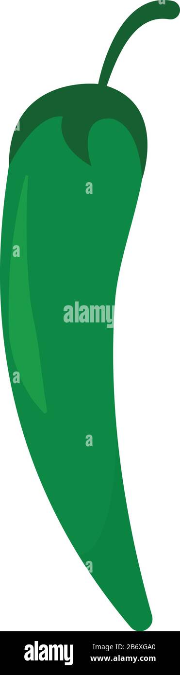 Green pepper, illustration, vector on white background Stock Vector ...