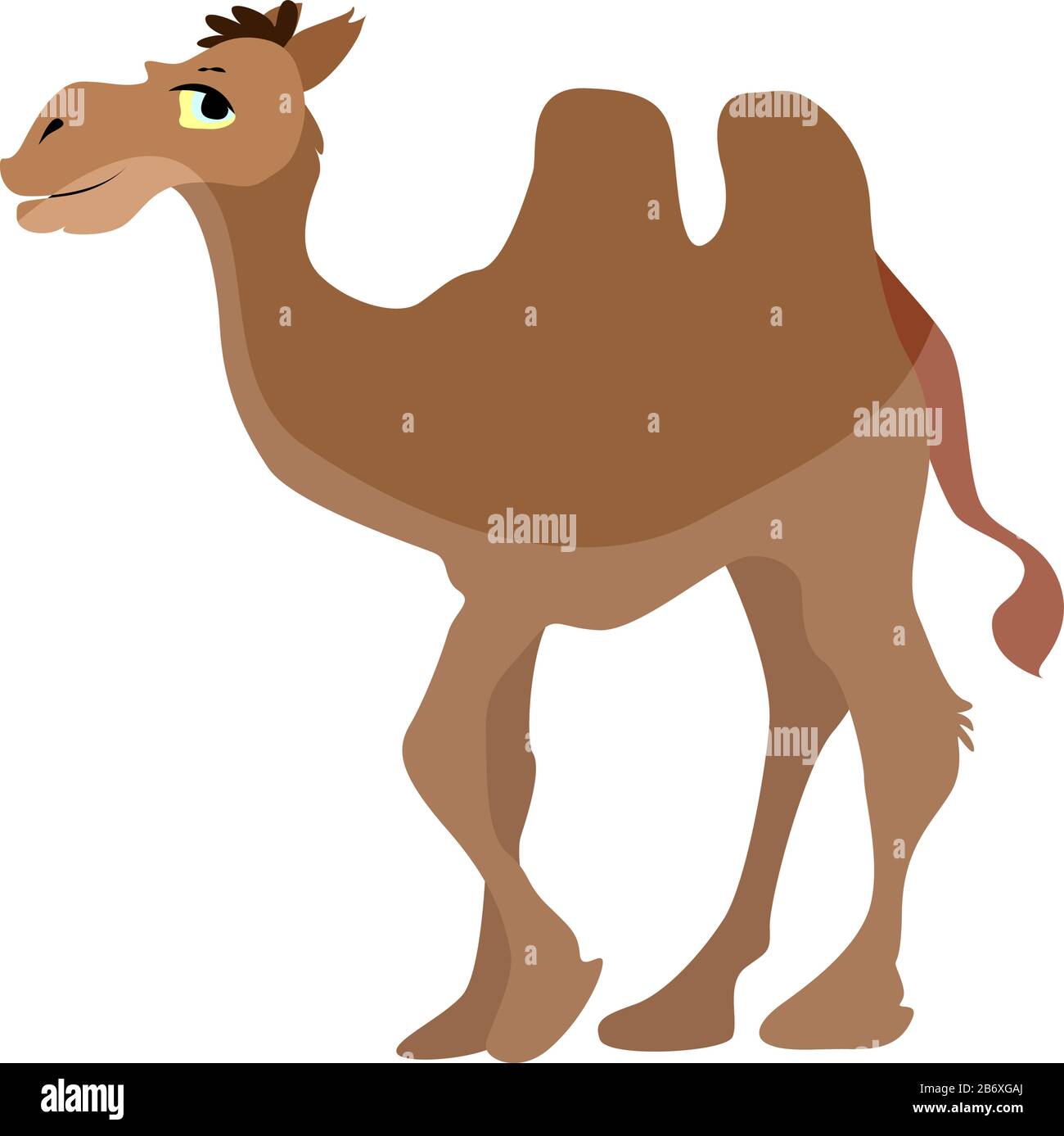 Brown camel, illustration, vector on white background Stock Vector ...