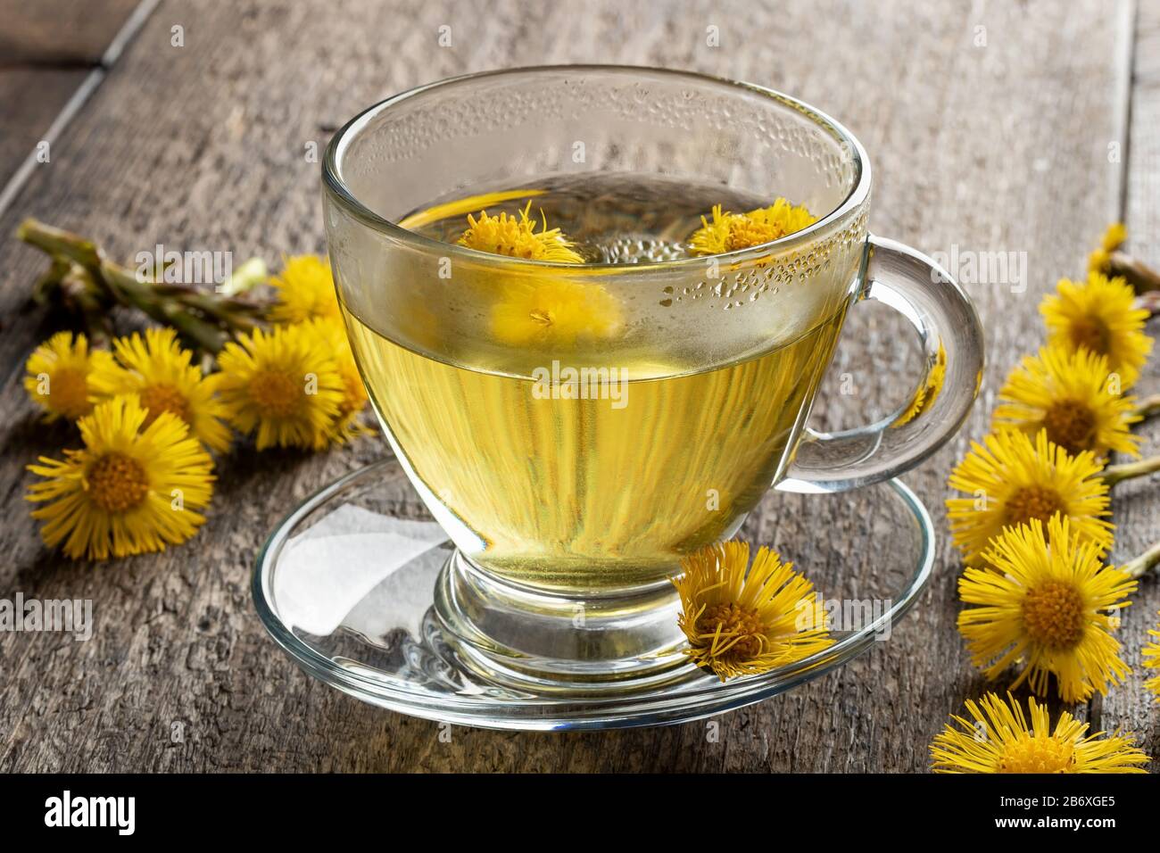 Coltsfoot edible hi-res stock photography and images - Alamy