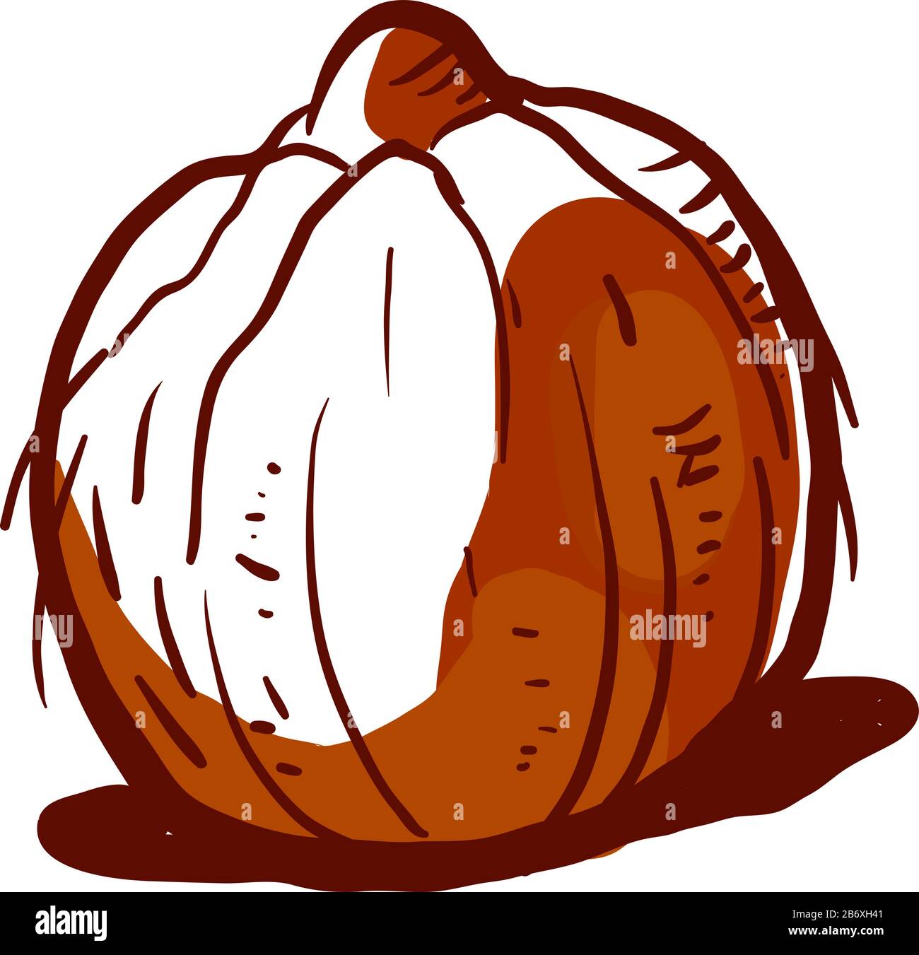 Coconut drawing, illustration, vector on white background Stock Vector ...