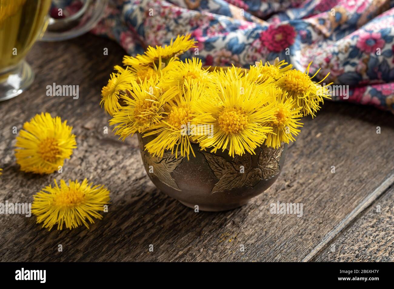 Coltsfoot edible hi-res stock photography and images - Alamy