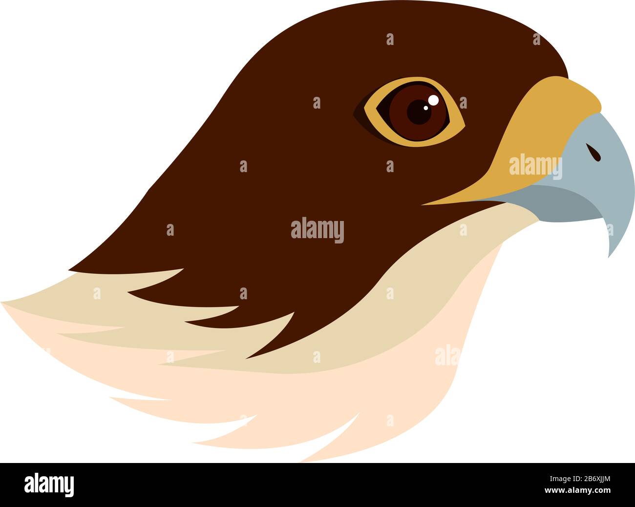 Falcon bird, illustration, vector on white background Stock Vector ...