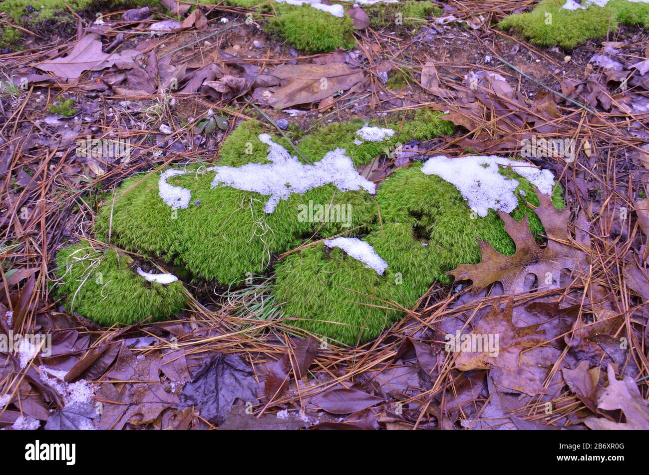 Still partly covered in snow after a heavy fall a few days before, here ...