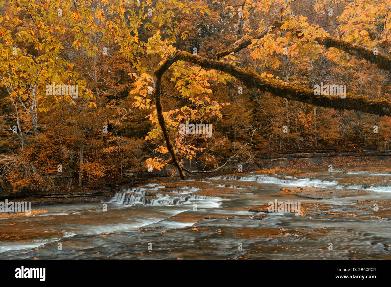 Nashville state park hi-res stock photography and images - Alamy