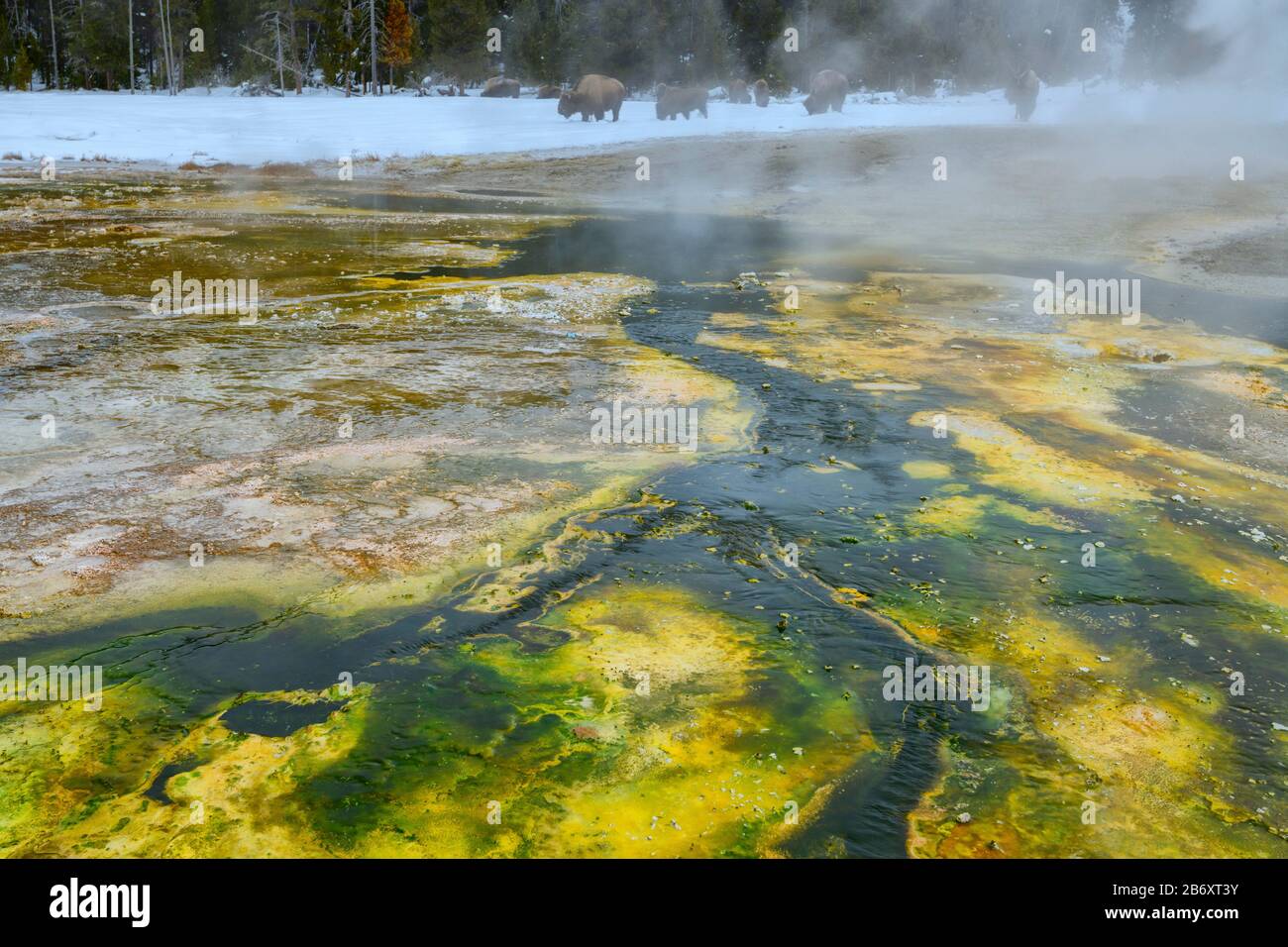 Yellowstone national park upper geyser basin hi-res stock photography ...