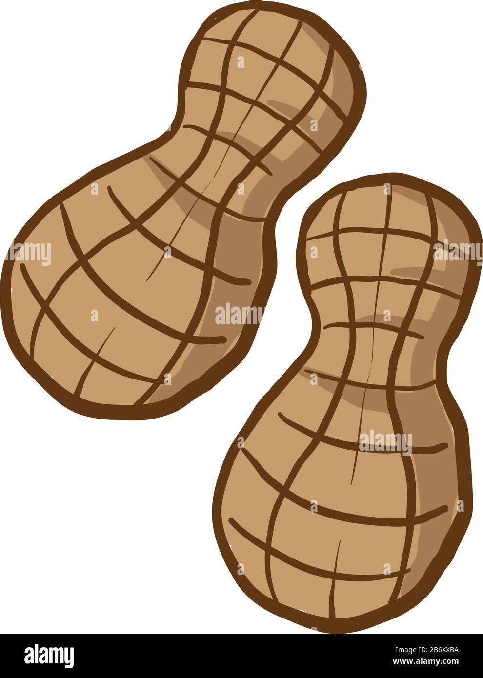 Two peanuts, illustration, vector on white background Stock Vector ...