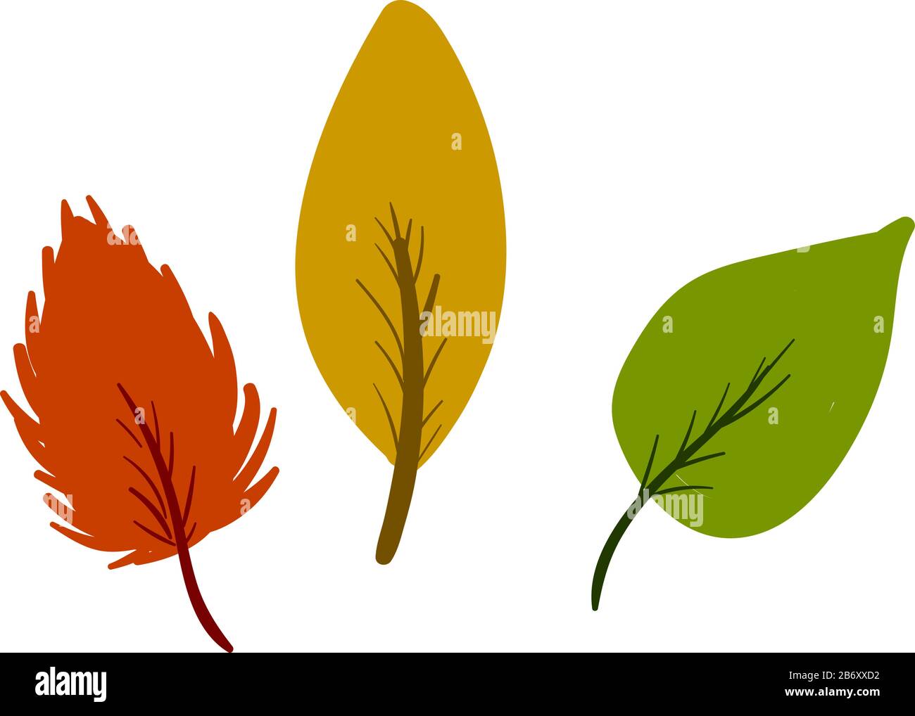 Multicolor leaves, illustration, vector on white background Stock ...