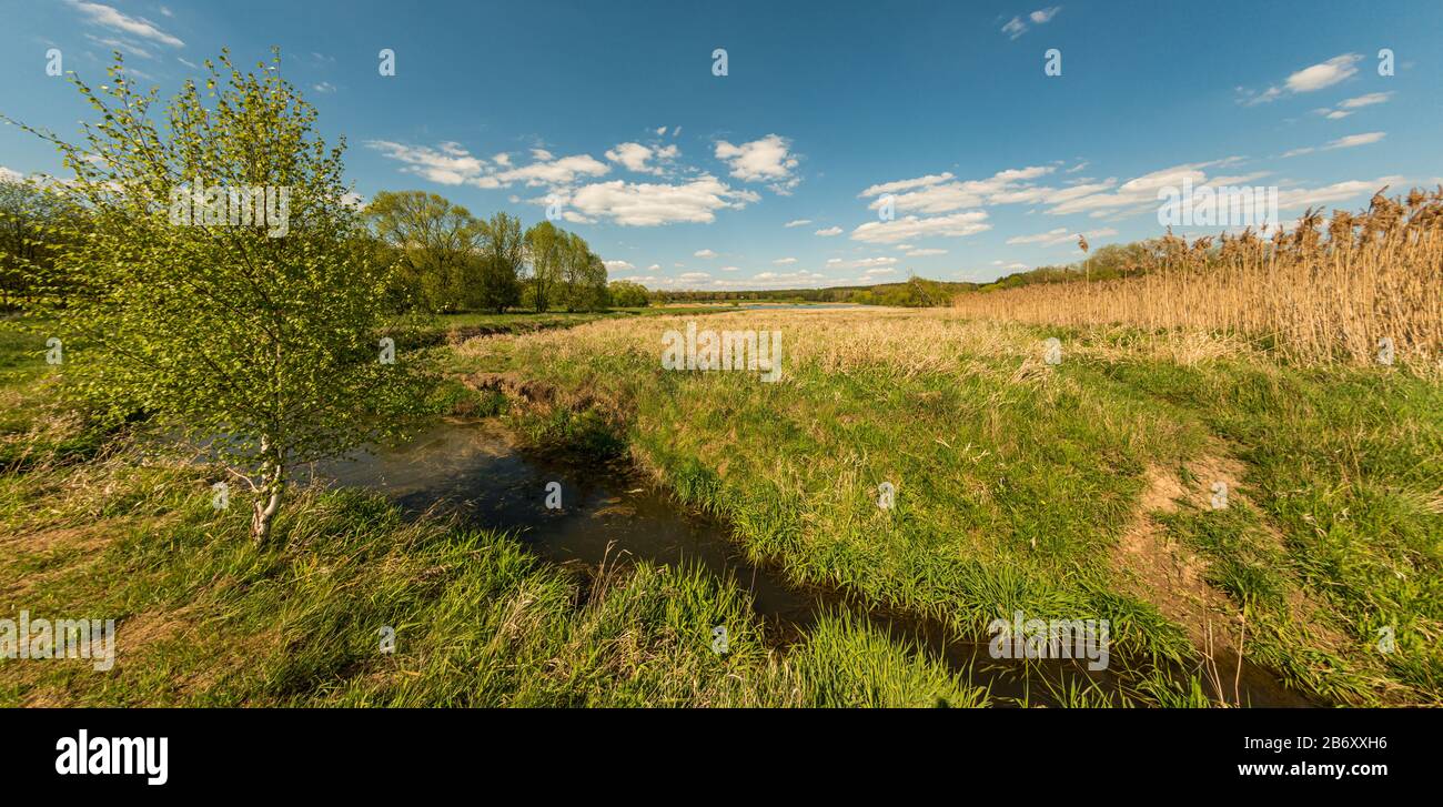 Reeds creek hi-res stock photography and images - Alamy