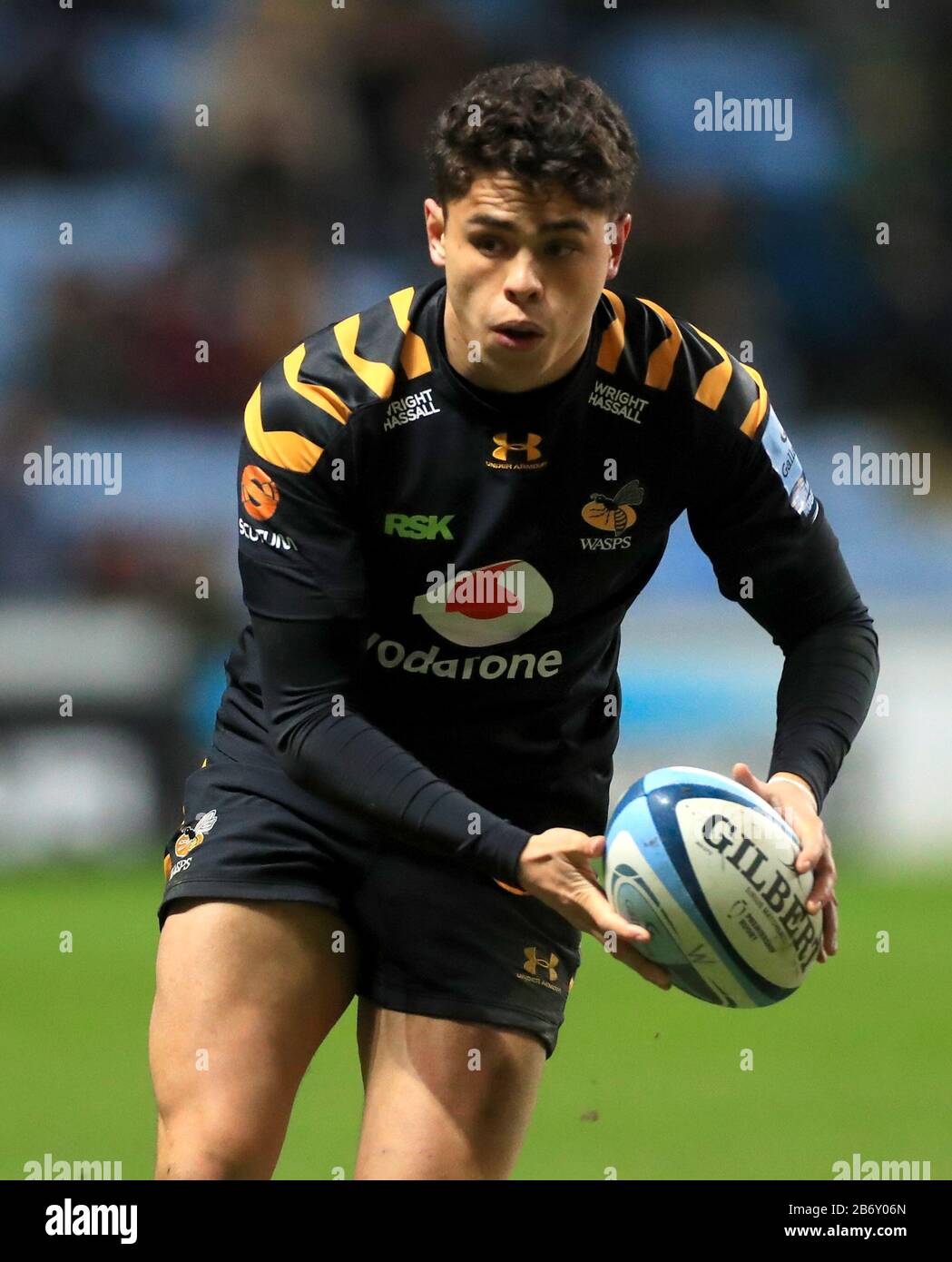 Umaga wasps hi-res stock photography and images - Alamy