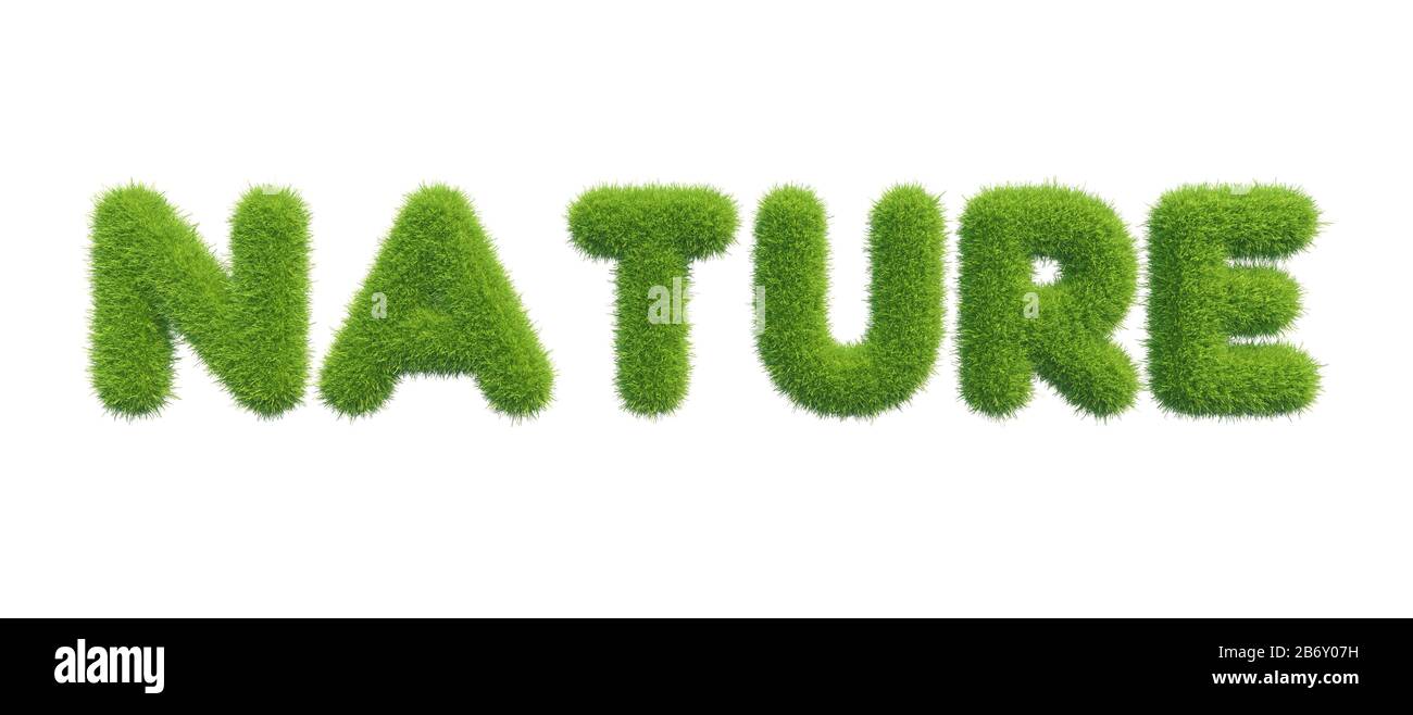 Nature lettering made from fresh green grass. 3d rendering Stock Photo ...