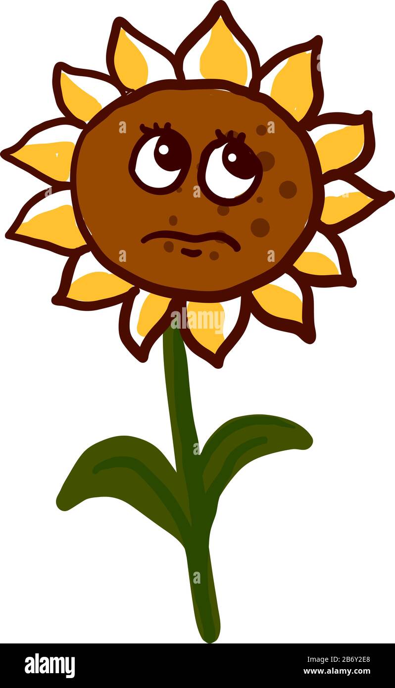 Sad sunflower, illustration, vector on white background Stock Vector ...