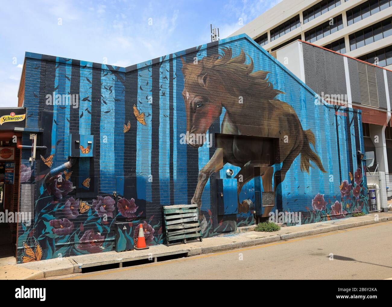 Graffiti in Darwin, Northern Territory, Australia Stock Photo - Alamy