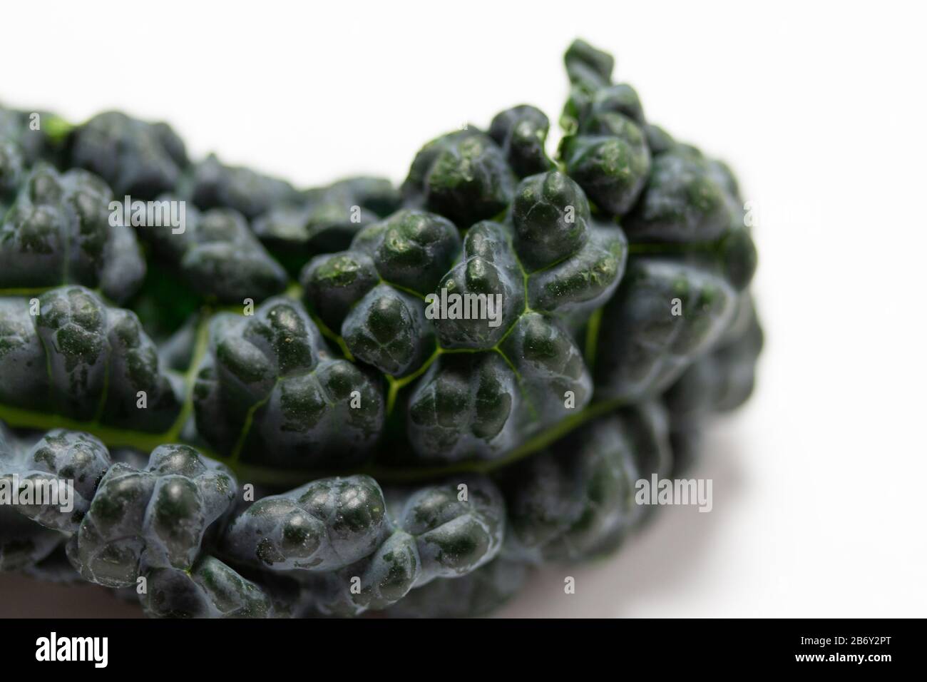 Lacinato kale hi-res stock photography and images - Alamy