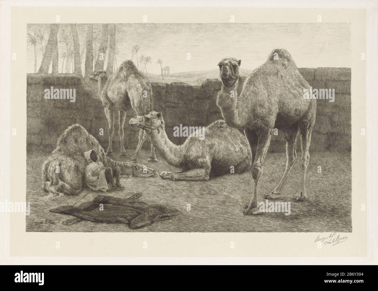 Four camels inside stone walls hi-res stock photography and images - Alamy