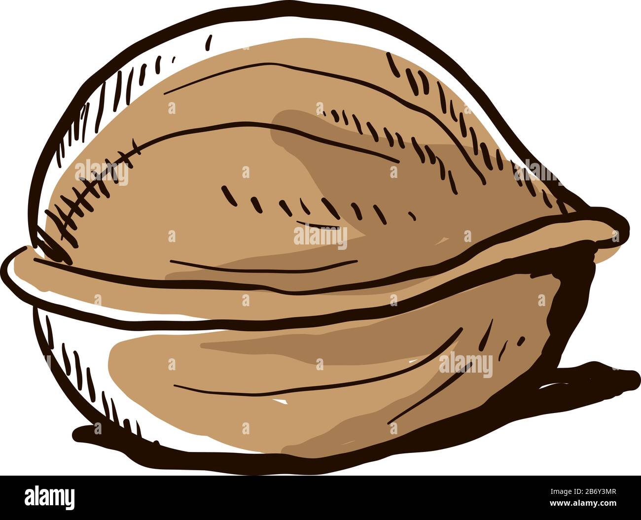 Empty Hazelnut Drawing Lou Brettell Creative Hearts Art