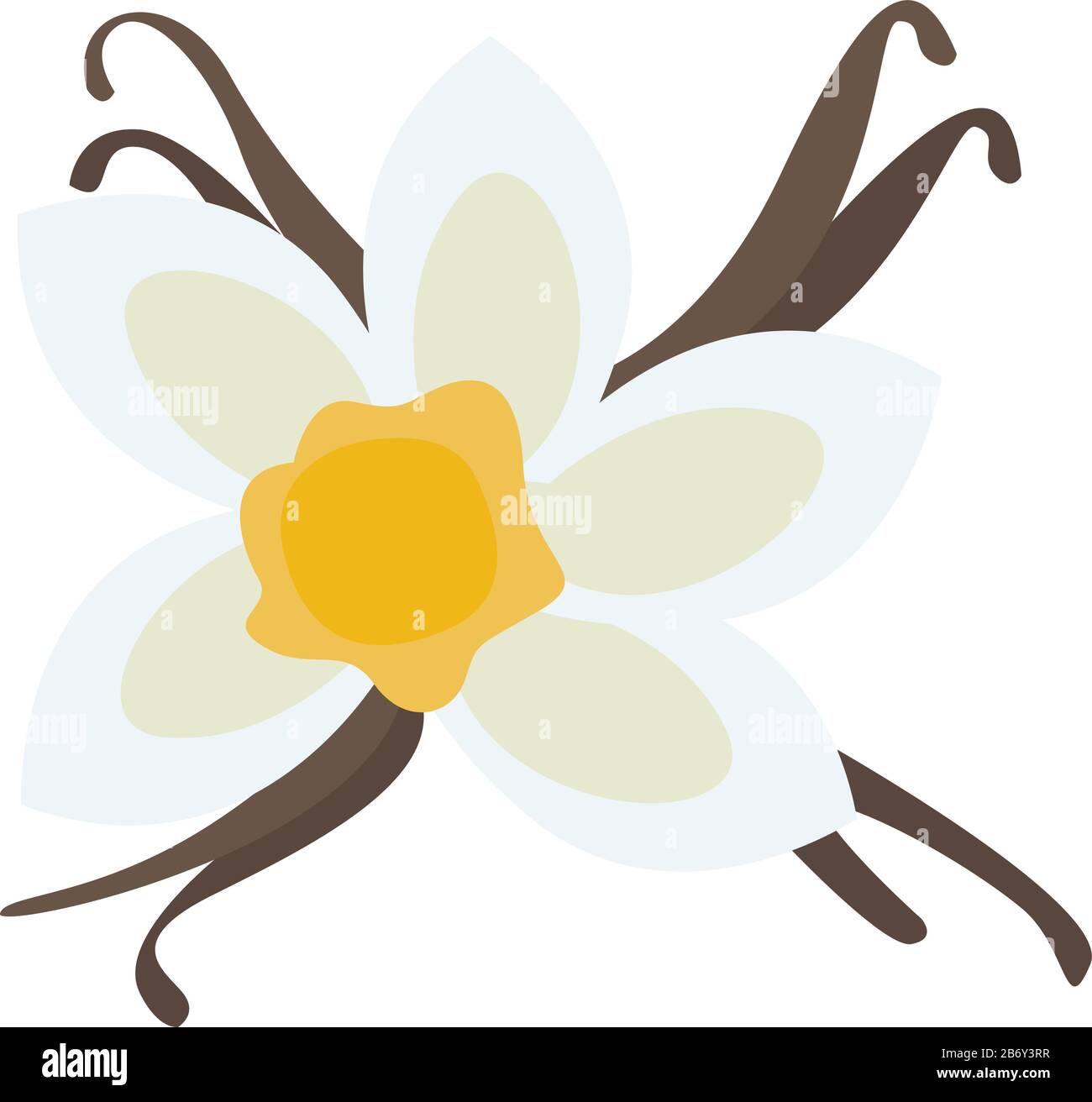 Vanilla pod spice on Stock Vector Images - Alamy