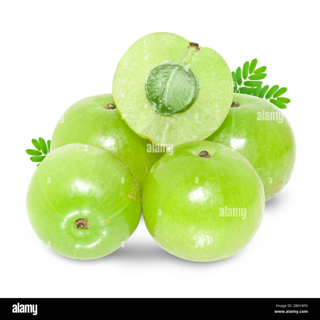 Amla green fruits ,Phyllanthus emblica isolated on white background ...