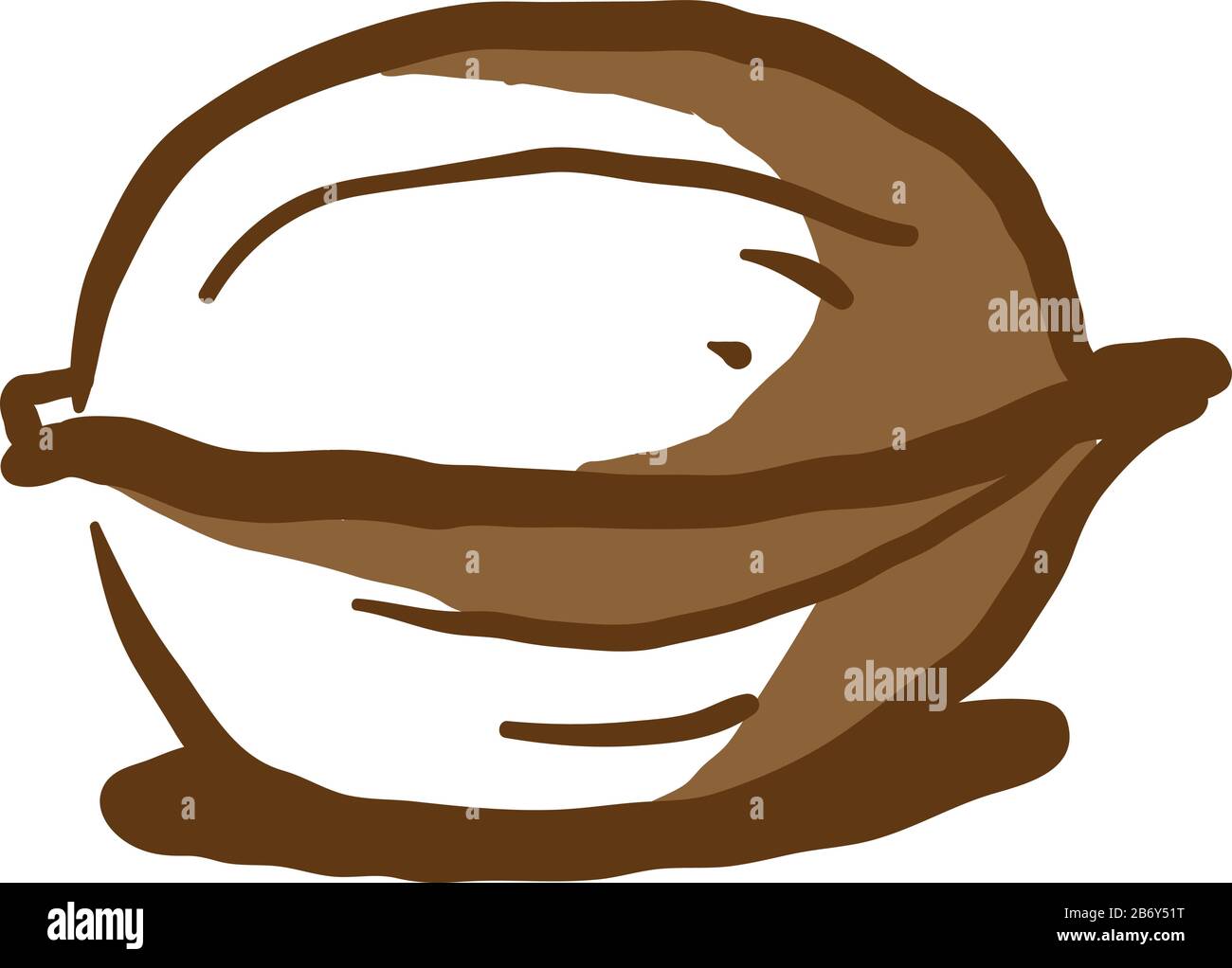Walnut drawing, illustration, vector on white background Stock Vector ...
