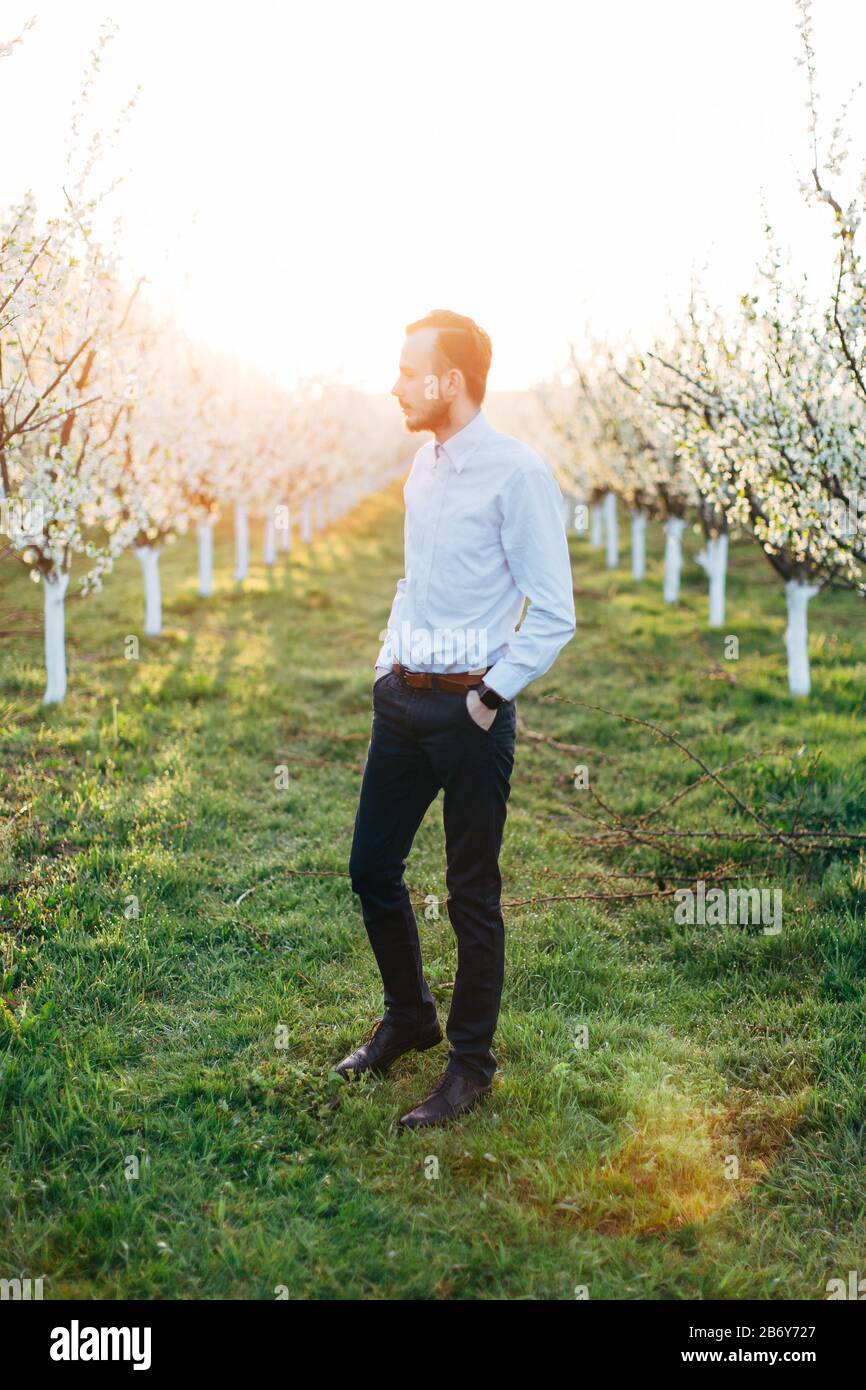 Young elegant Caucasian man with beard near blossoming trees in fruit ...