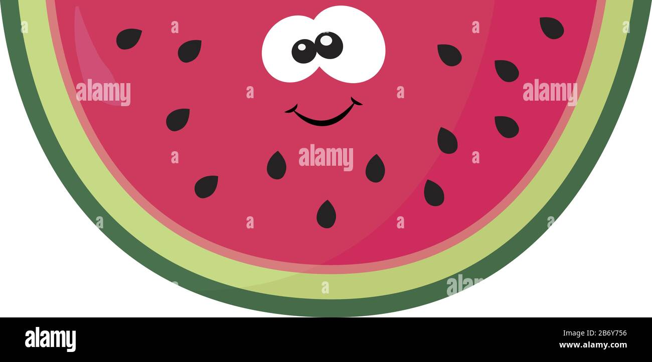 Cute watermelon, illustration, vector on white background Stock Vector ...