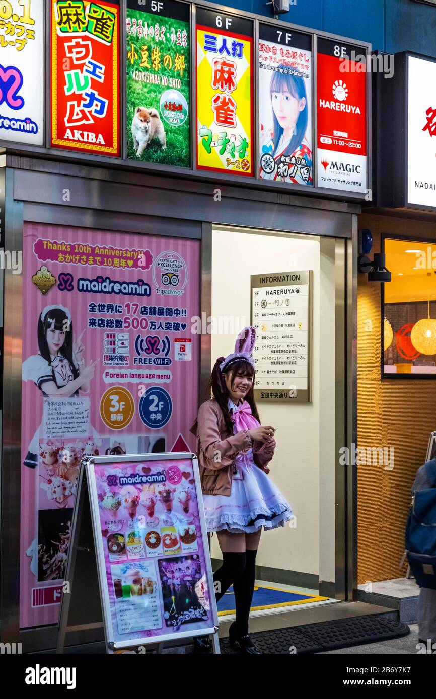 Japan, Honshu, Tokyo, Akihabara, Maid Cafe Entrance, Girl Dressed in ...
