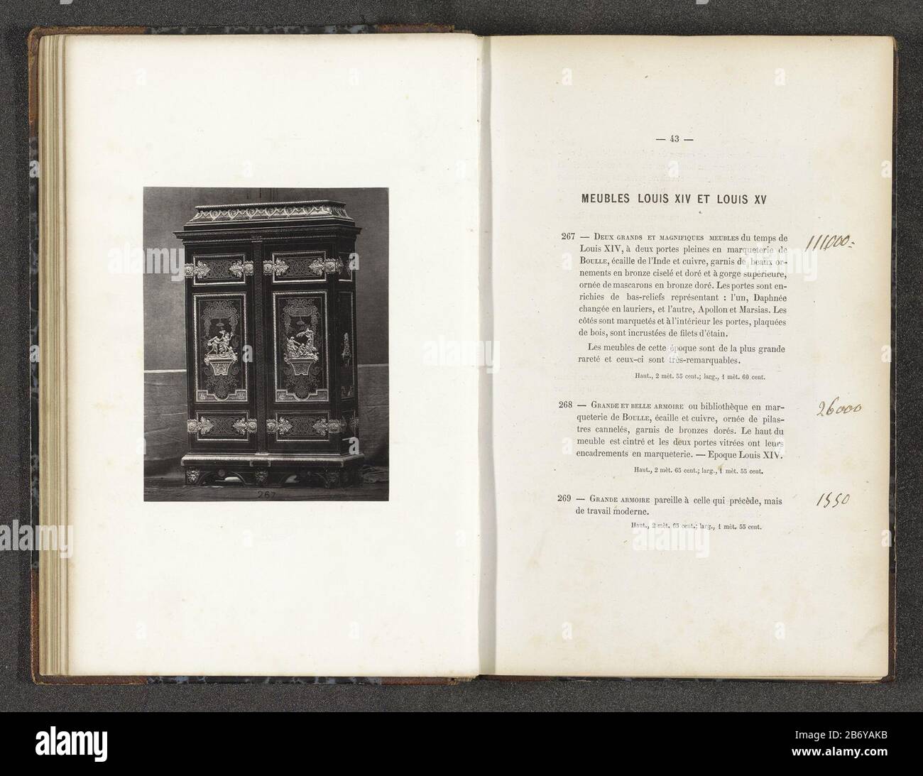 Daphne apollo laurel tree hi-res stock photography and images - Alamy