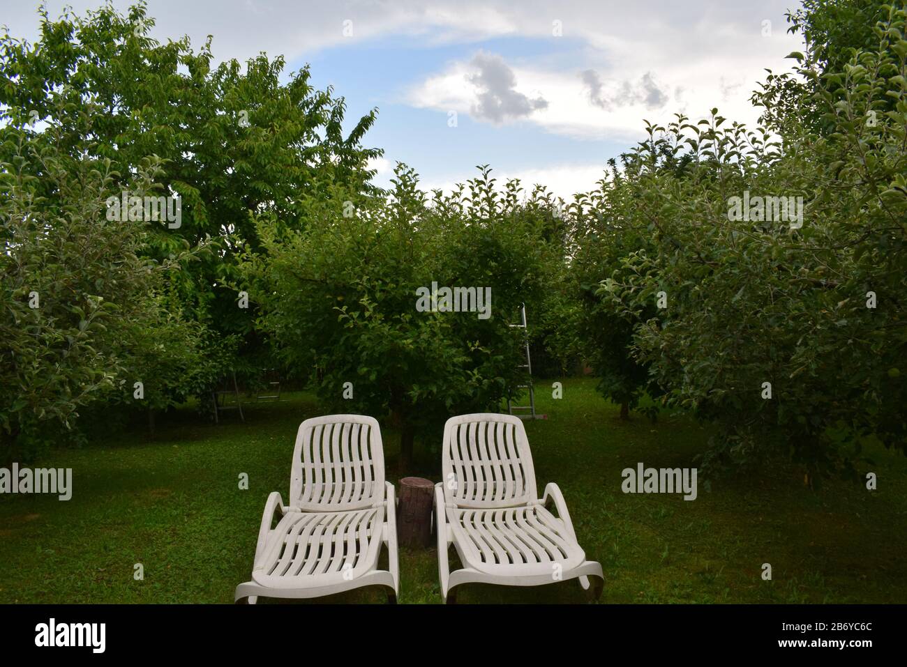 Tree trees field chairs hi-res stock photography and images - Alamy