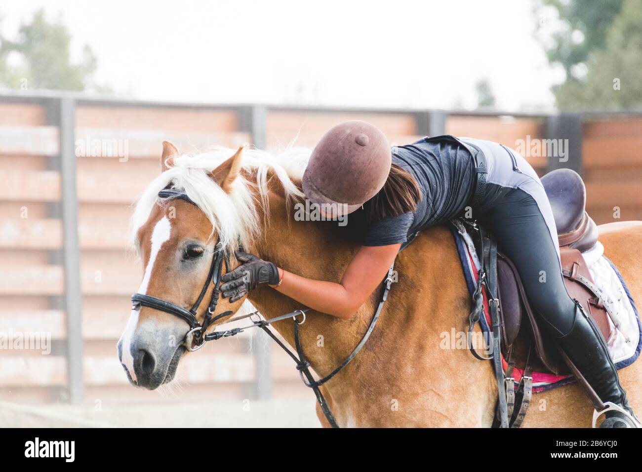 Caressing a horse hi-res stock photography and images - Alamy