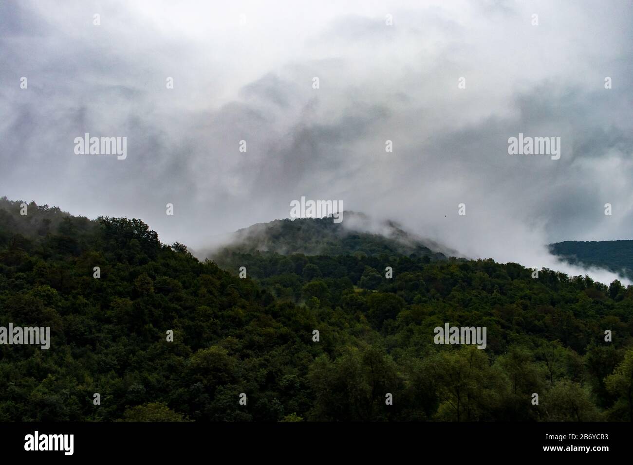 Fog over forest covered mountains with fog covered valley between them ...