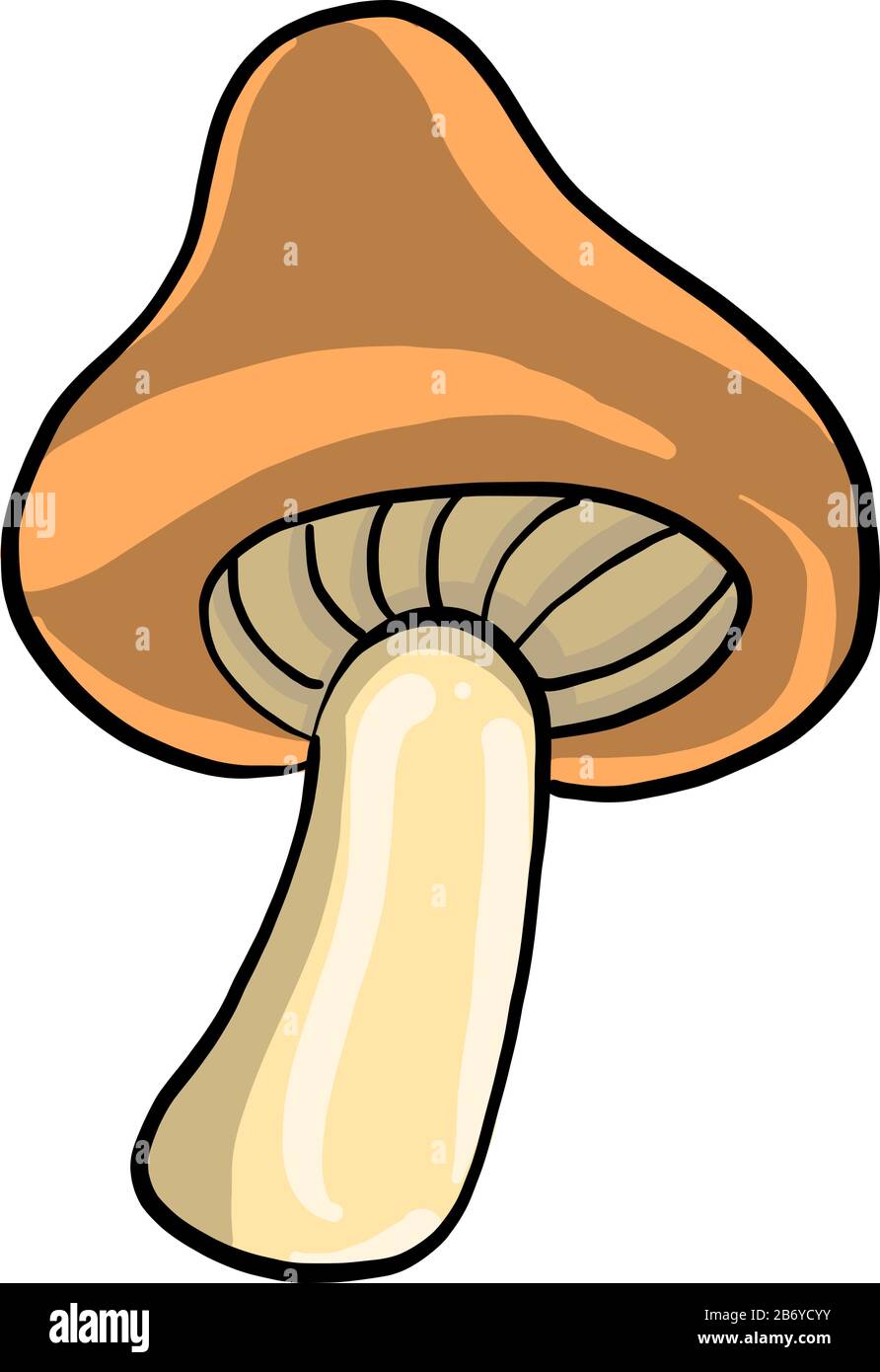 Big mushroom, illustration, vector on white background Stock Vector ...