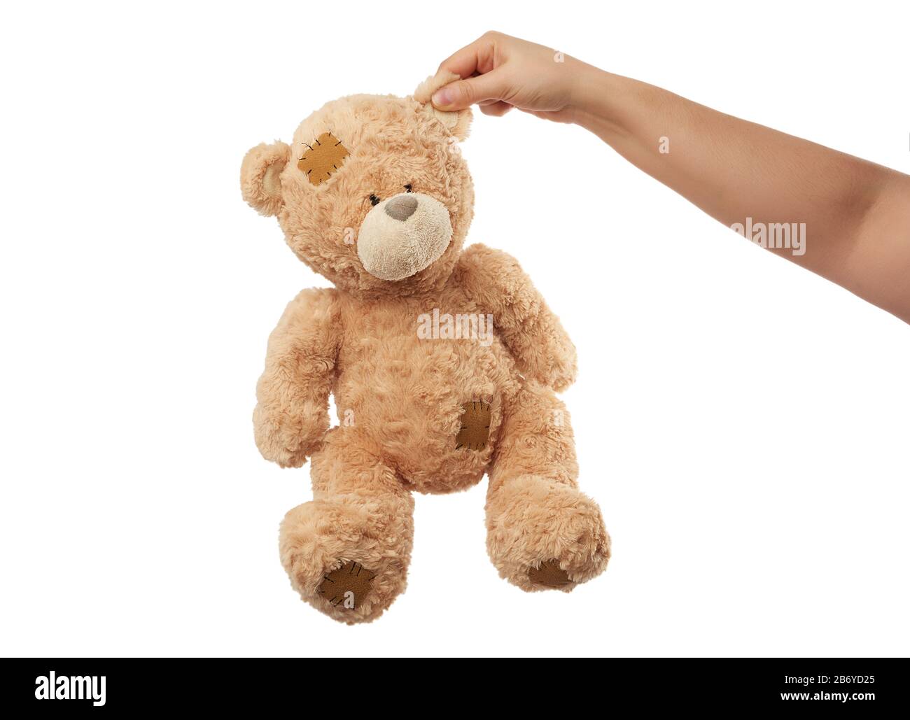 female hand holds the ear of a big beige cute teddy bear with patches ...