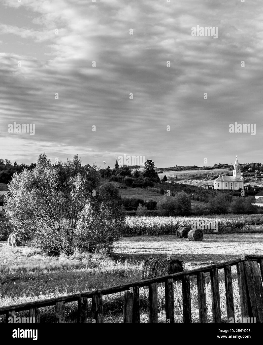 Black and white composition of a large grass field with cornfield ...