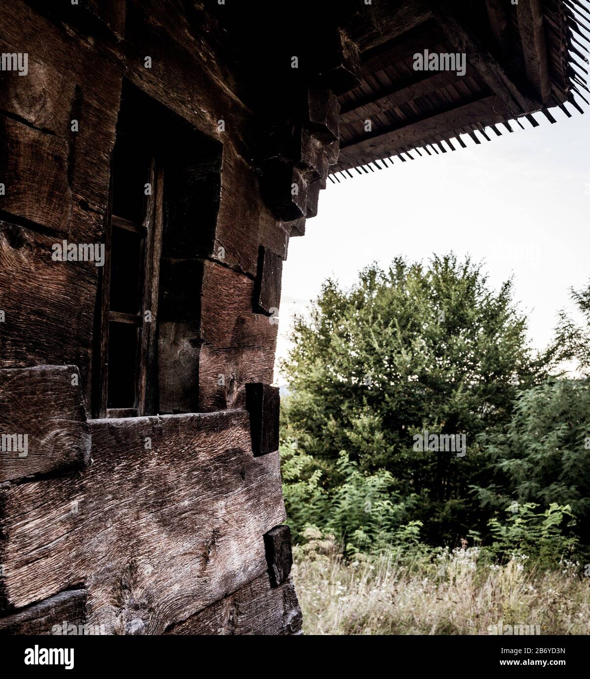 Outside wall and roof of an old wooden church with trees in the ...