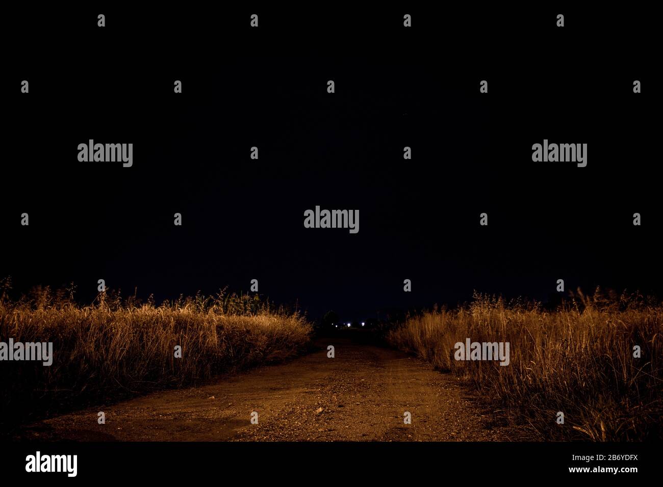 Field of grass at night Stock Photo - Alamy
