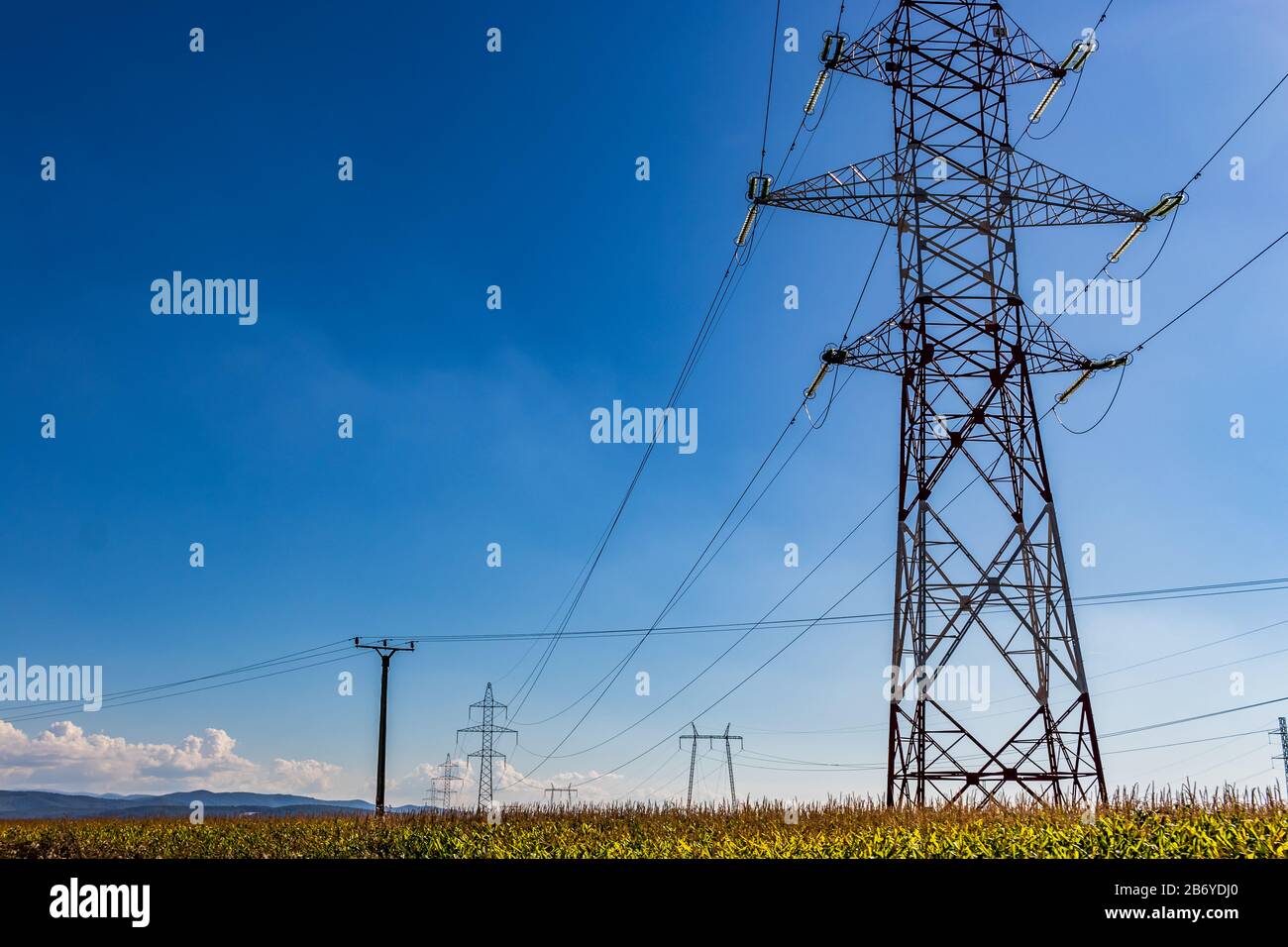 High voltage power lines on power pylons in a corn field Stock Photo ...