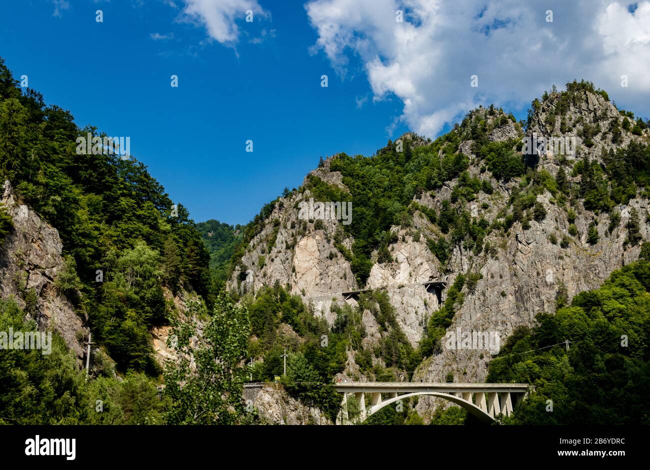 Mountain bridge passing through mountain forest with forest covered ...