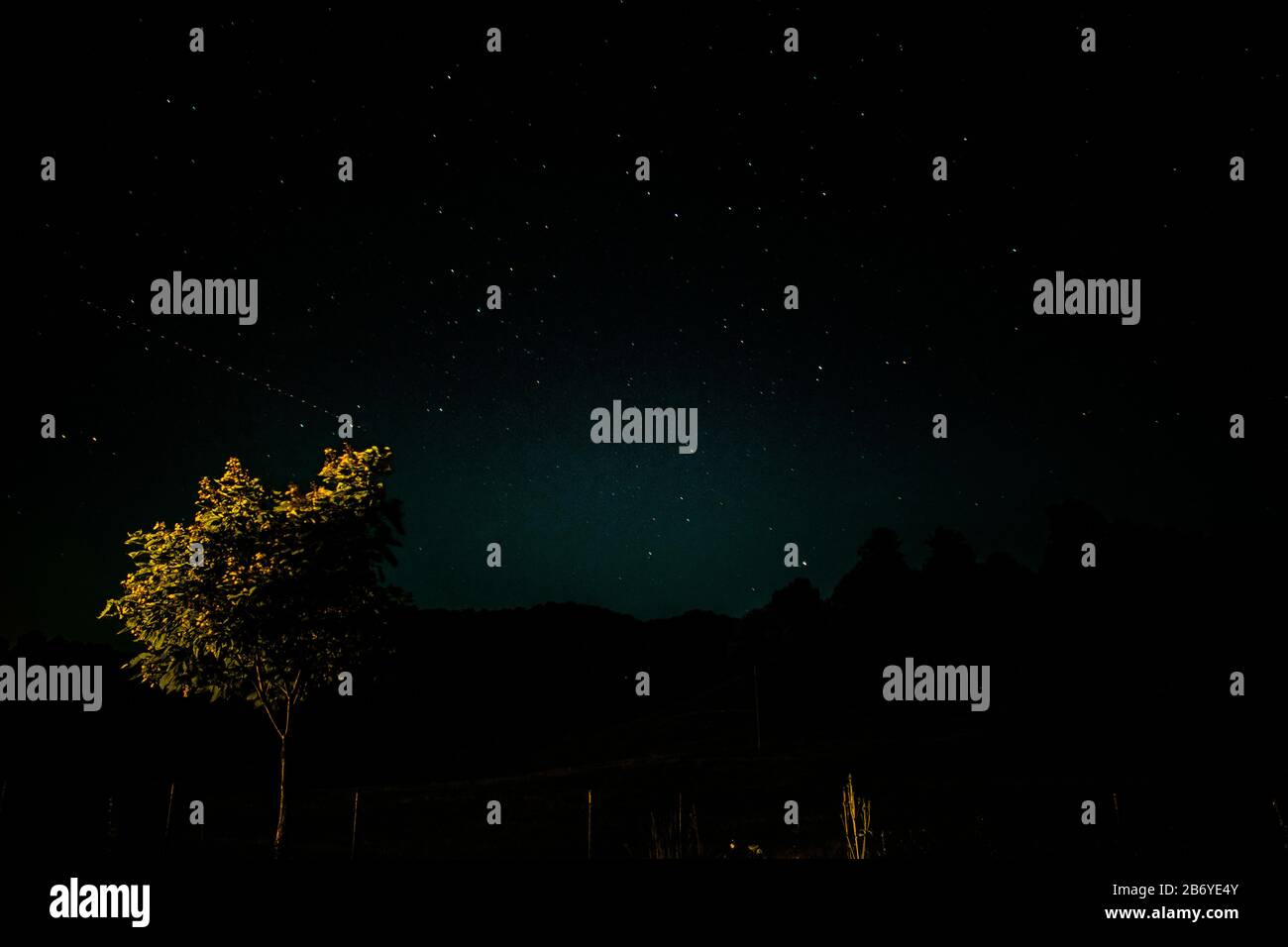 View of a tree on a starry night sky over hills Stock Photo - Alamy